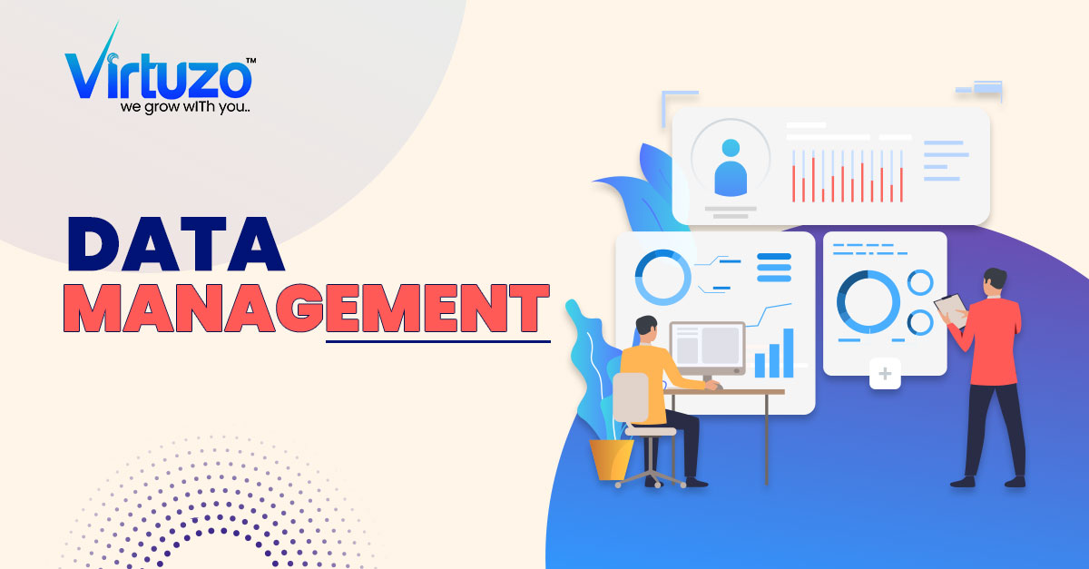 High-Quality Data Management System Software | Virtuzo Infosystems